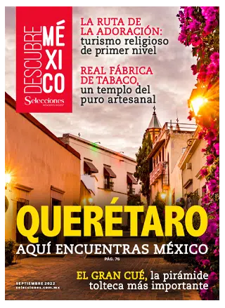 Queso adobera, tesoro culinario de suavidad y frescura | Descubre México