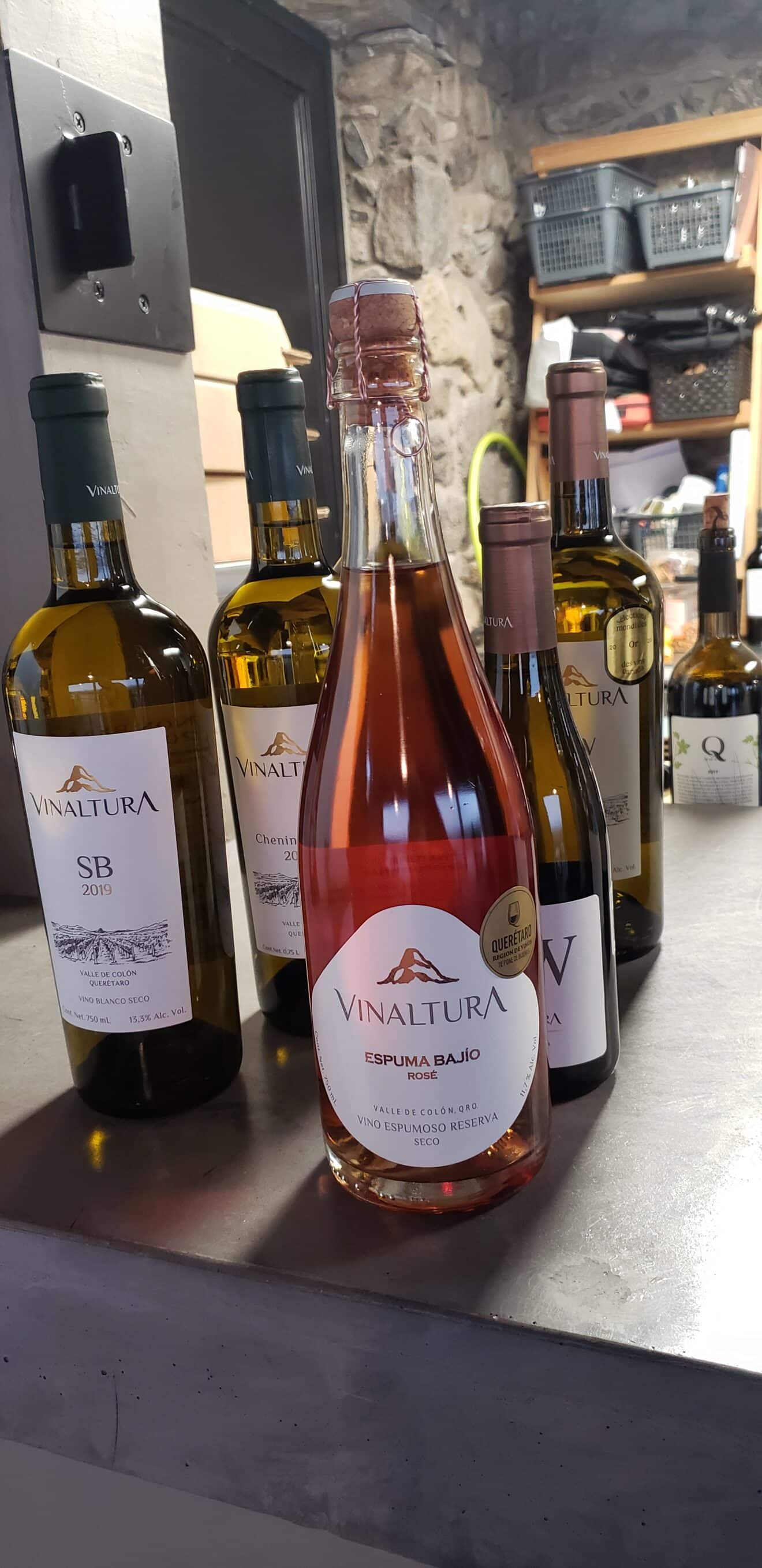 Vinaltura, un viñedo en Querétaro que está muy a la altura