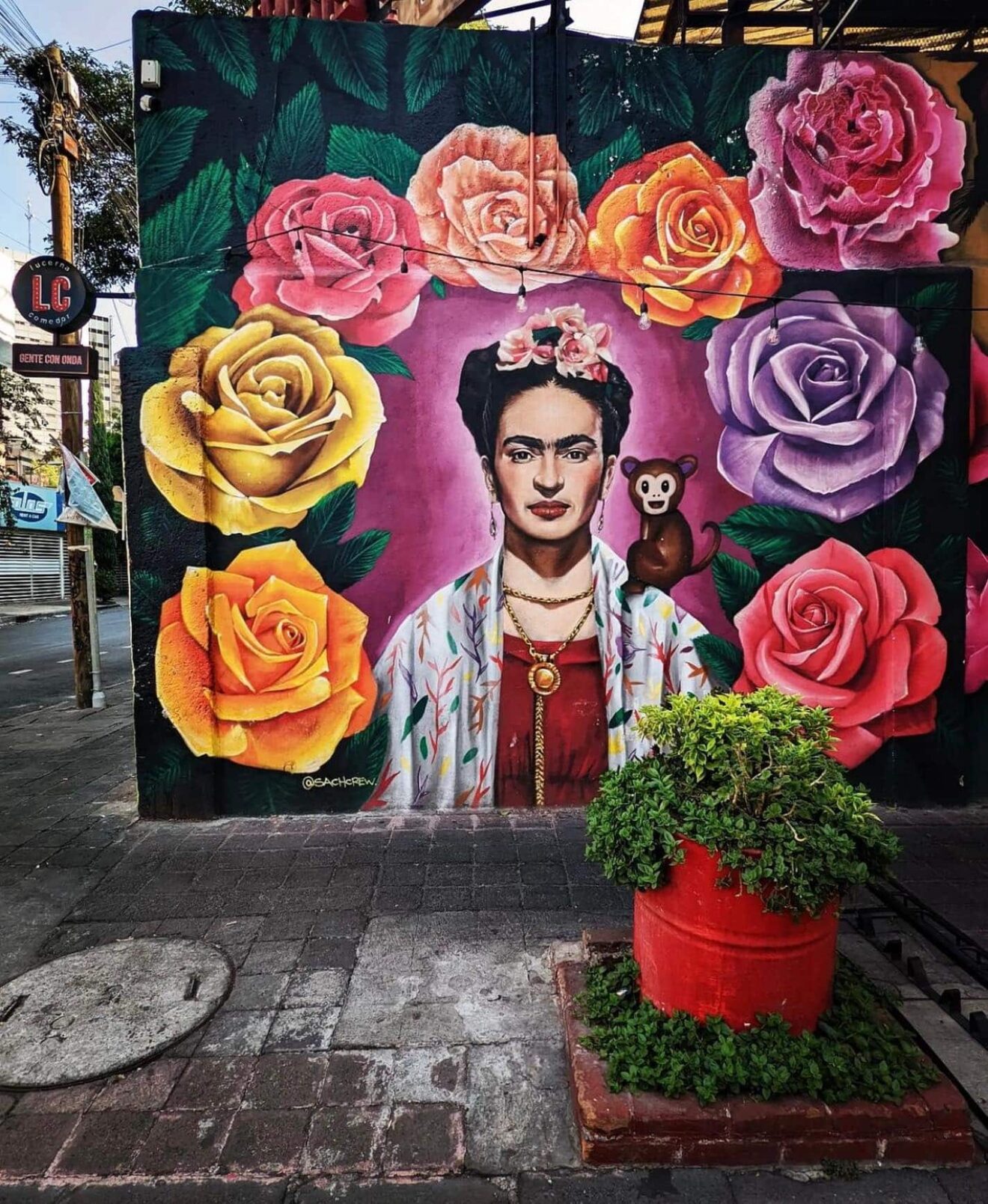 Comedor Lucerna te invita a una noche de rock | Descubre México