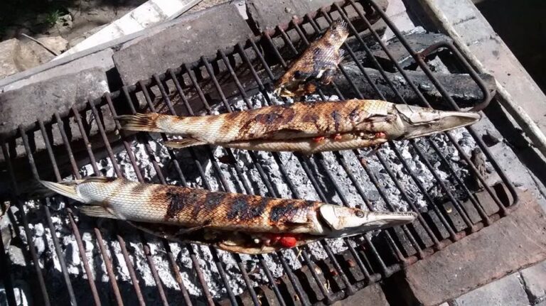 El ritual de comer pejelagarto en Tabasco | Descubre México