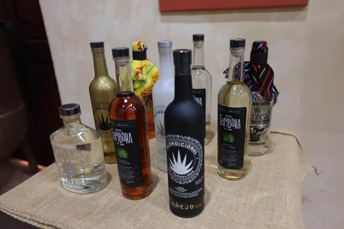 ¿Ya conoces el Museo del Mezcal en Tamaulipas? | Descubre México