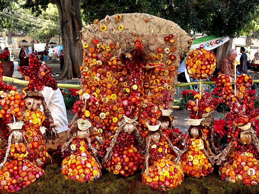 Así es la Noche de los Rábanos, una celebración navideña muy oaxaqueña ...