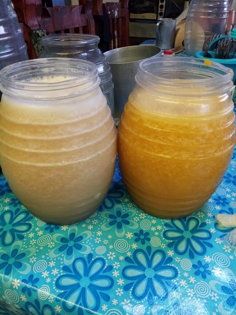 Así ayuda el pulque a tu cuerpo, ¡a beber se ha dicho! | Descubre México