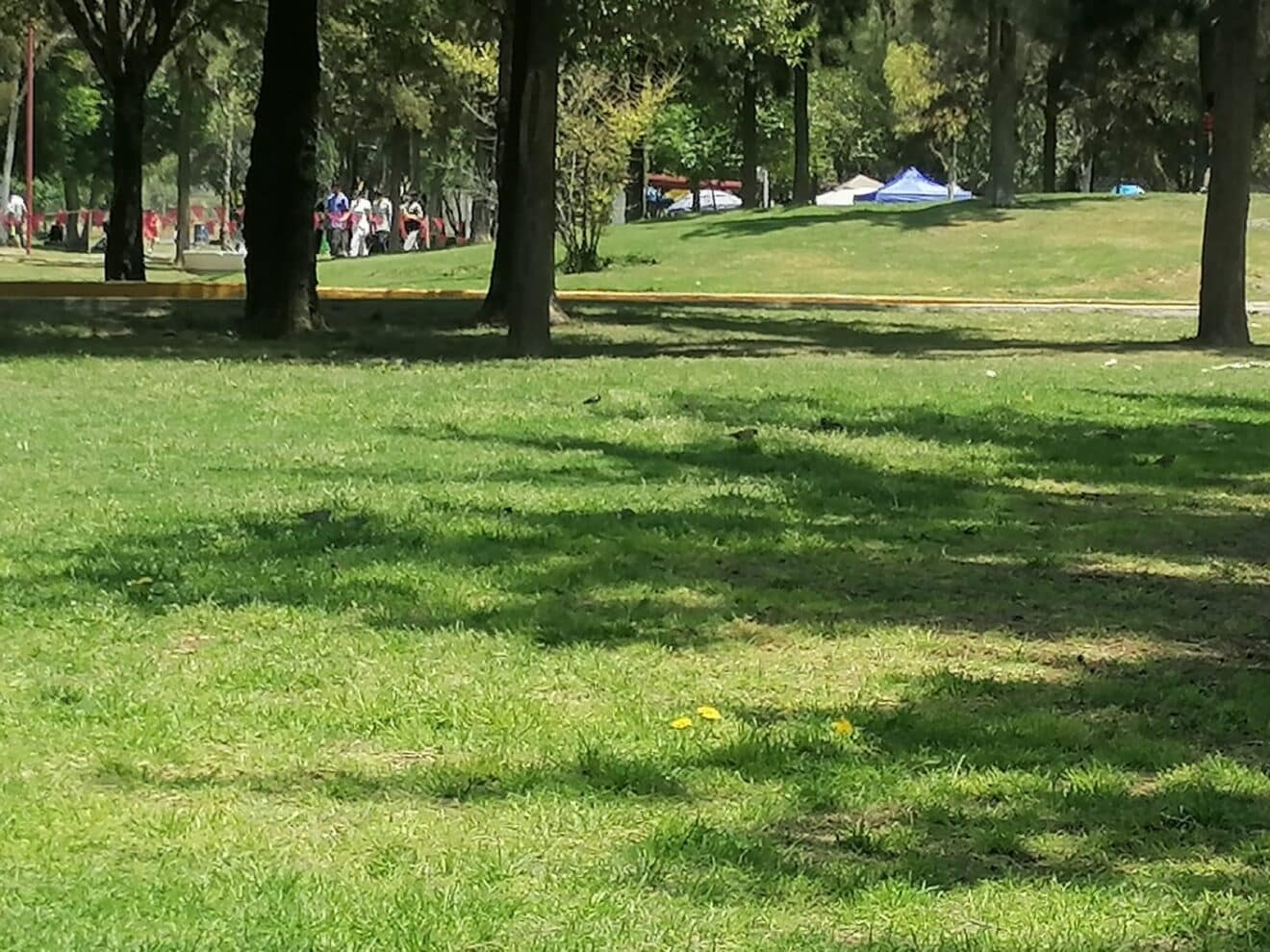 Deportivo Sierra Hermosa, un bello lugar que visitar en el Estado de ...