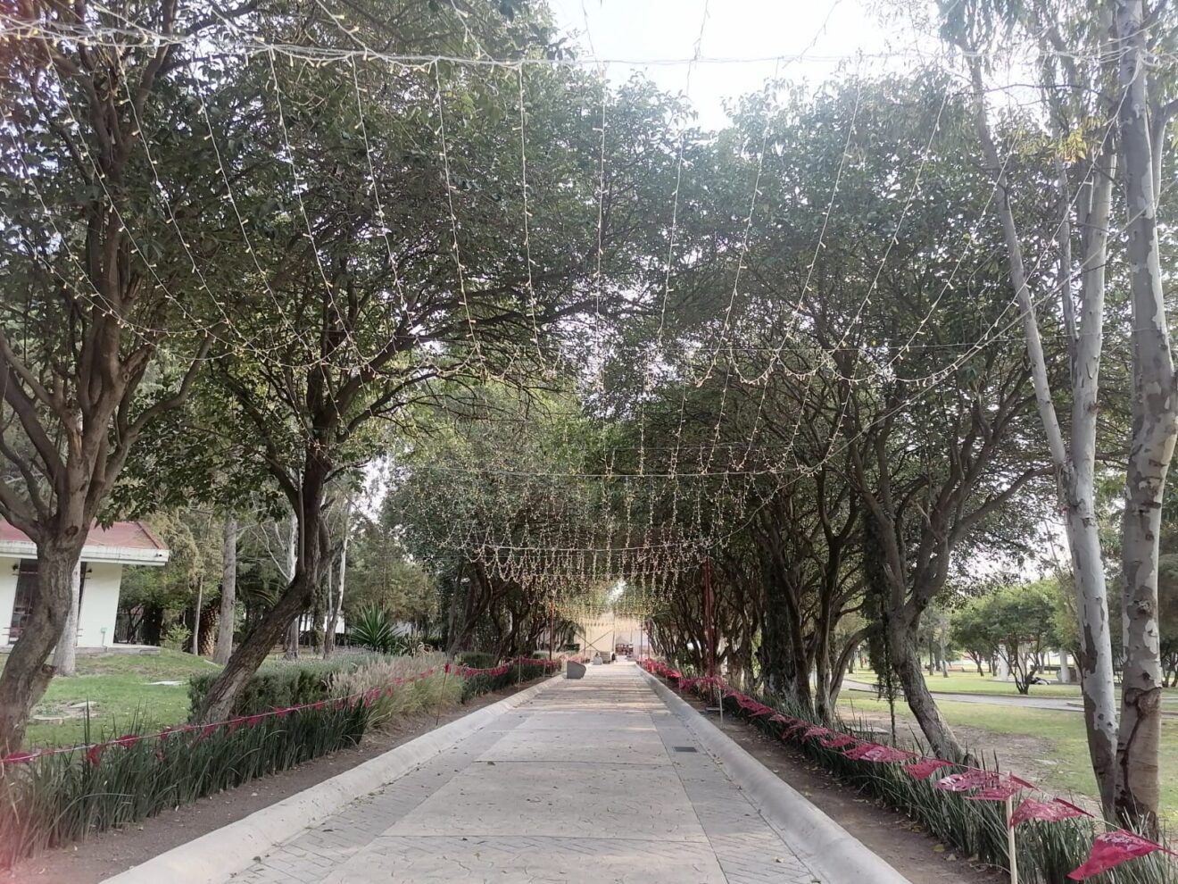 Deportivo Sierra Hermosa, un bello lugar que visitar en el Estado de ...