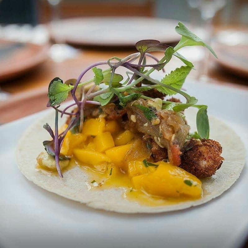 Wine & Food Festival: estas serán sus actividades | Descubre México Wine & Food Festival: estas serán sus actividades | Descubre México