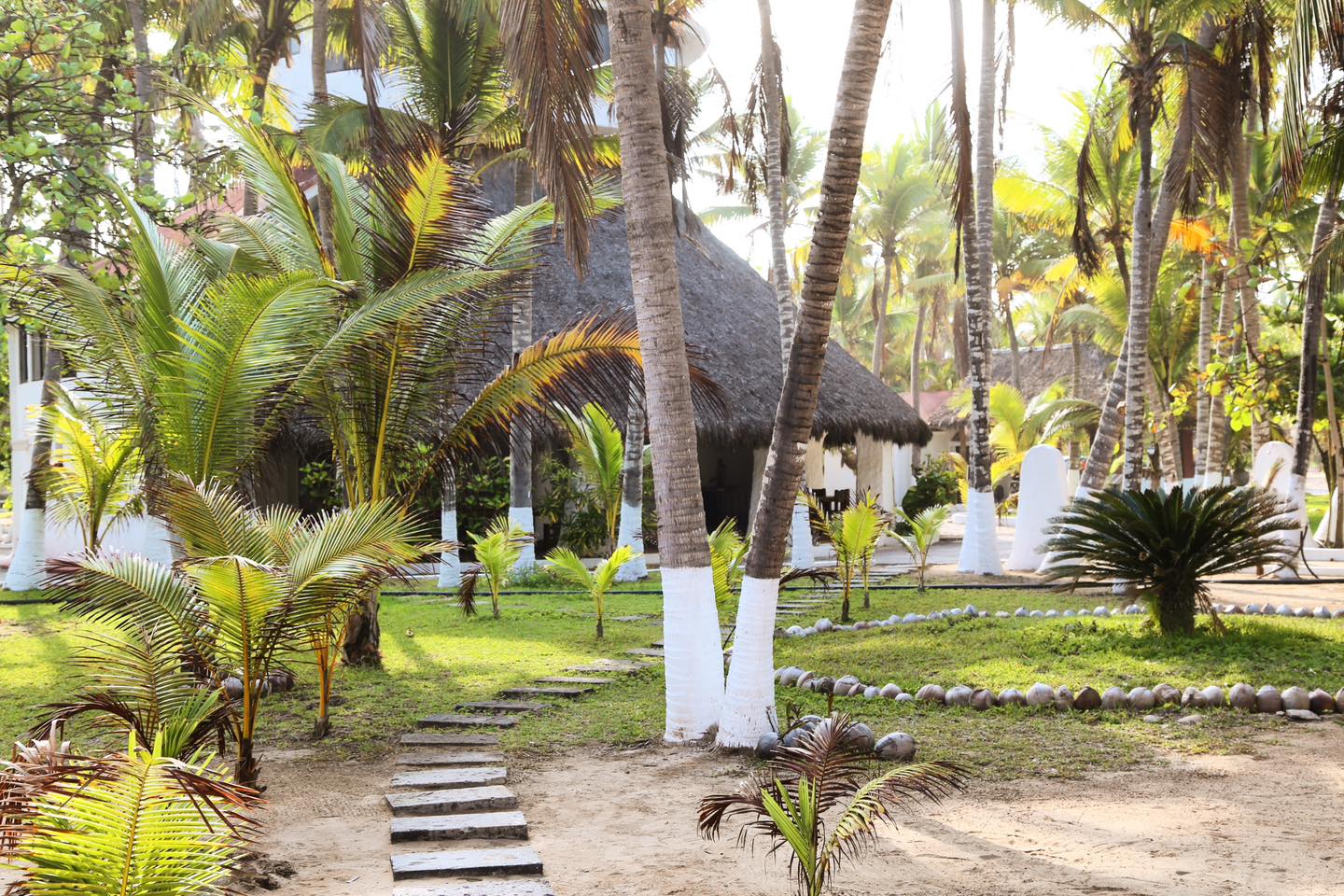 Bienvenido al paraíso: Villa Polinesia en Bahía de Chamela | Descubre ...