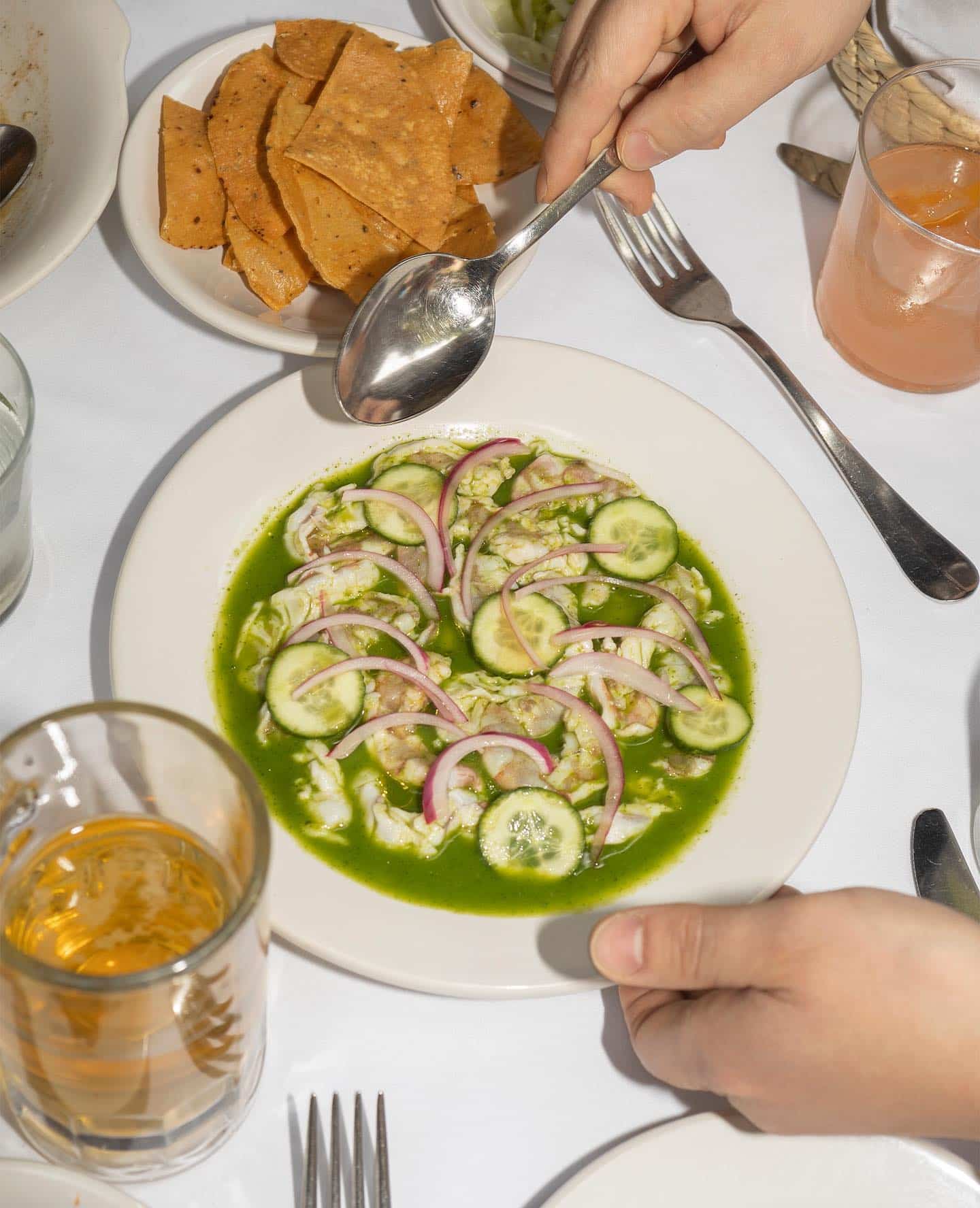 Contramar, el restaurante donde comió Dua Lipa | Descubre México