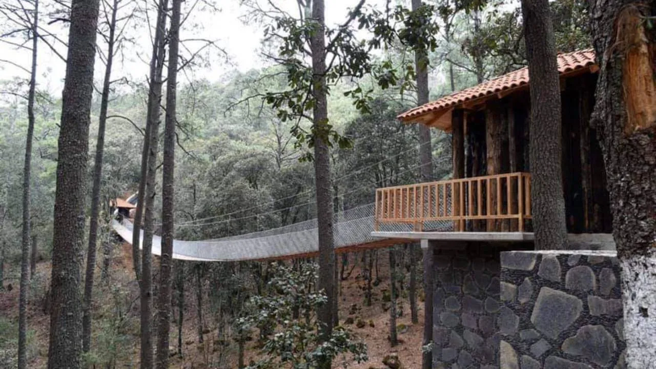 Parque Ecoturístico Xocotépetl, un espacio para la aventura en este fin ...